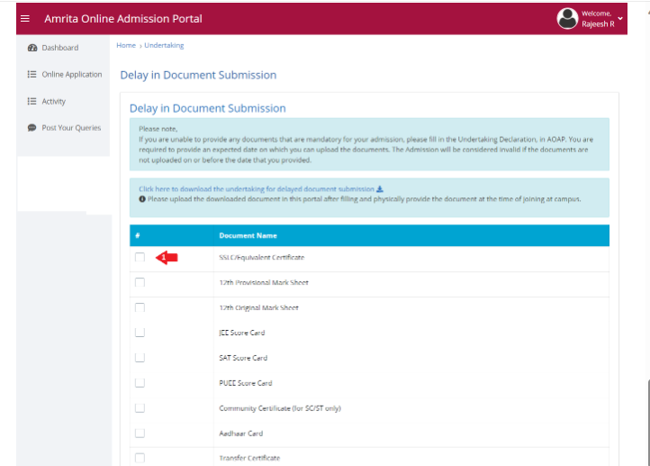 Undertaking Delayed Document Submission